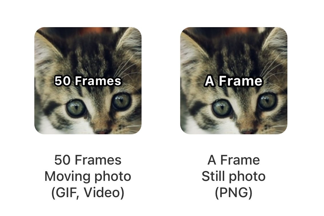 Make a GIF/video with one photo – ImgPlay